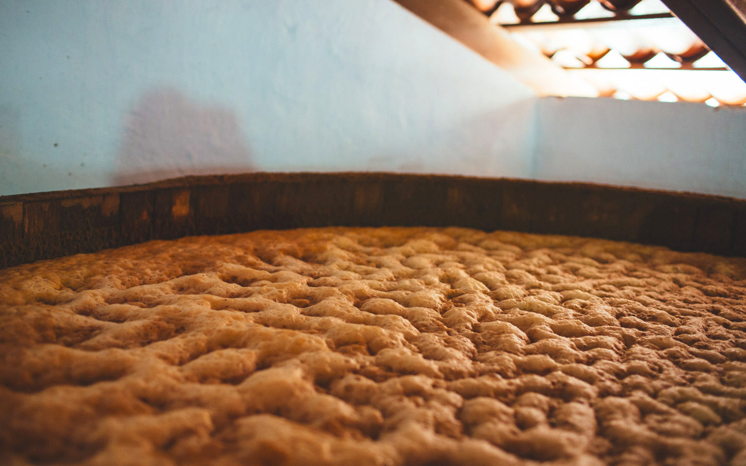 Tequila Basics - Experience Agave