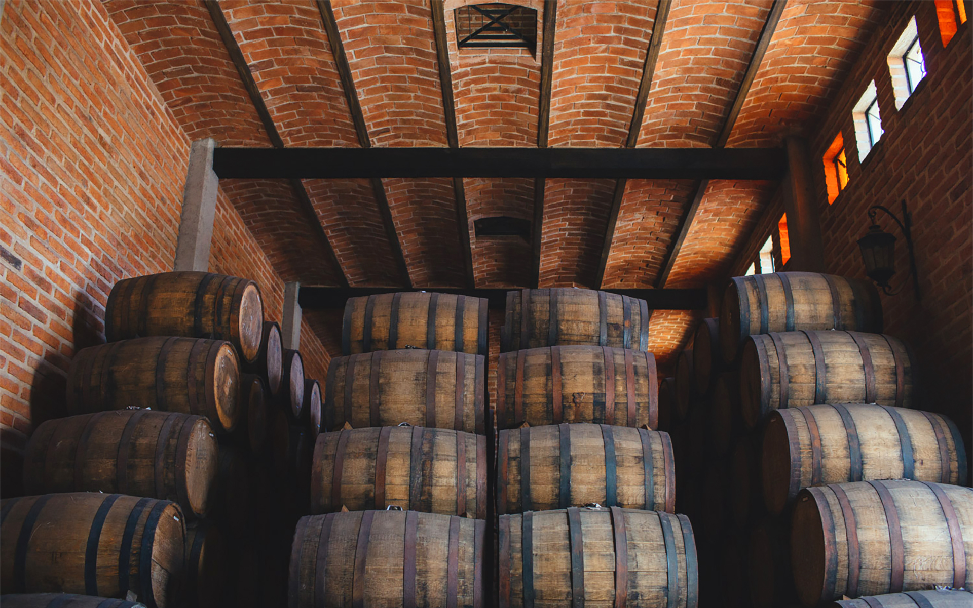 Tequila Basics - Experience Agave