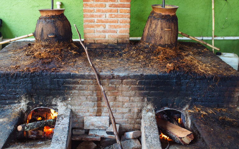 Mezcal Basics - Experience Agave