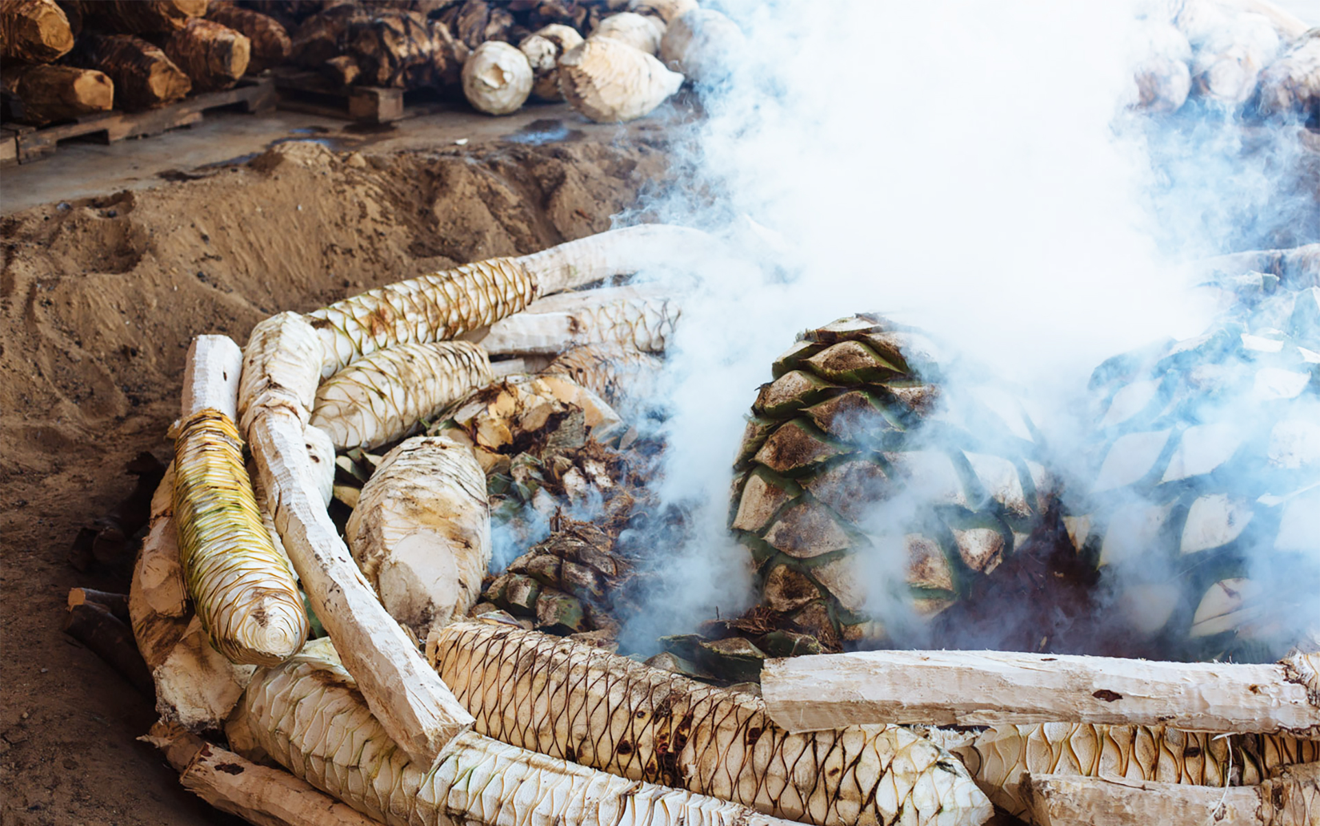 Mezcal Basics - Experience Agave