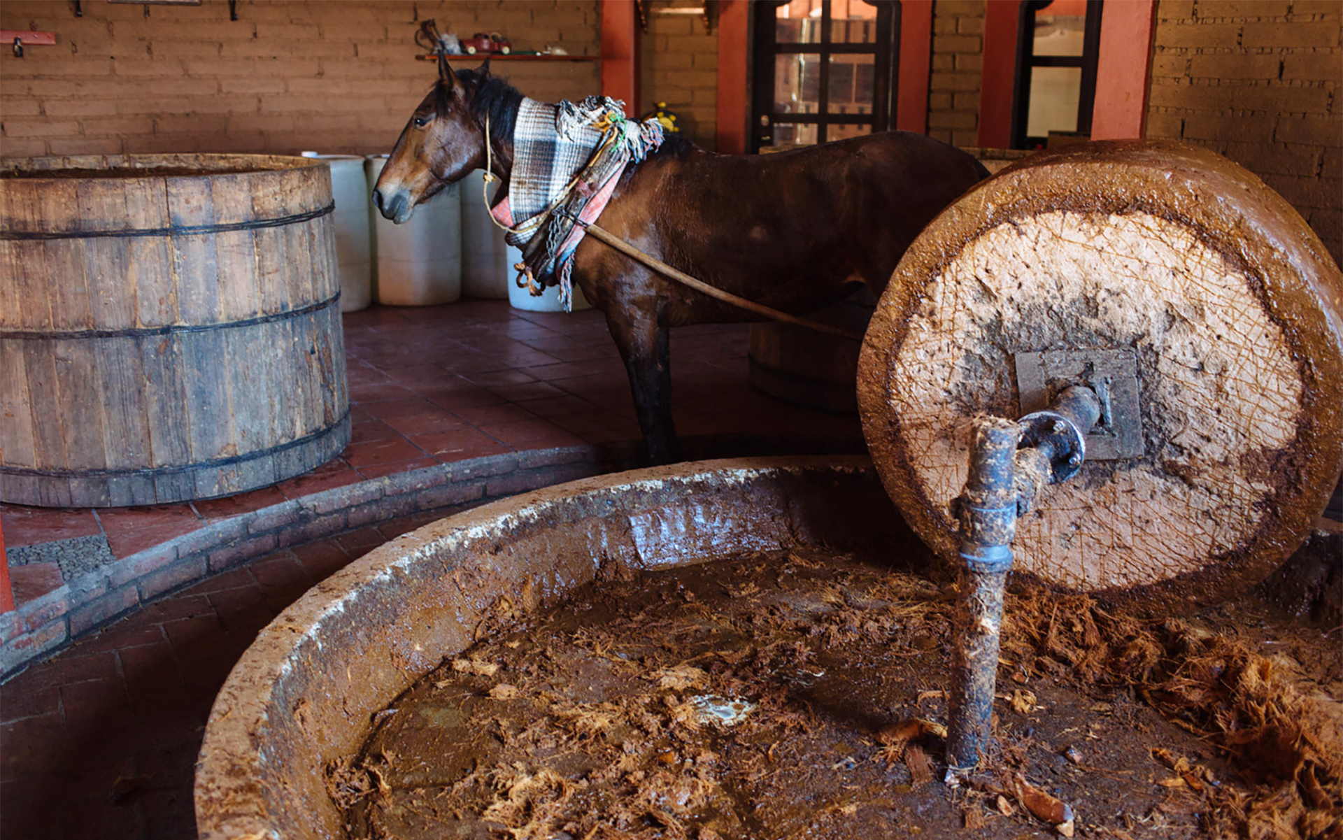 Mezcal Basics - Experience Agave