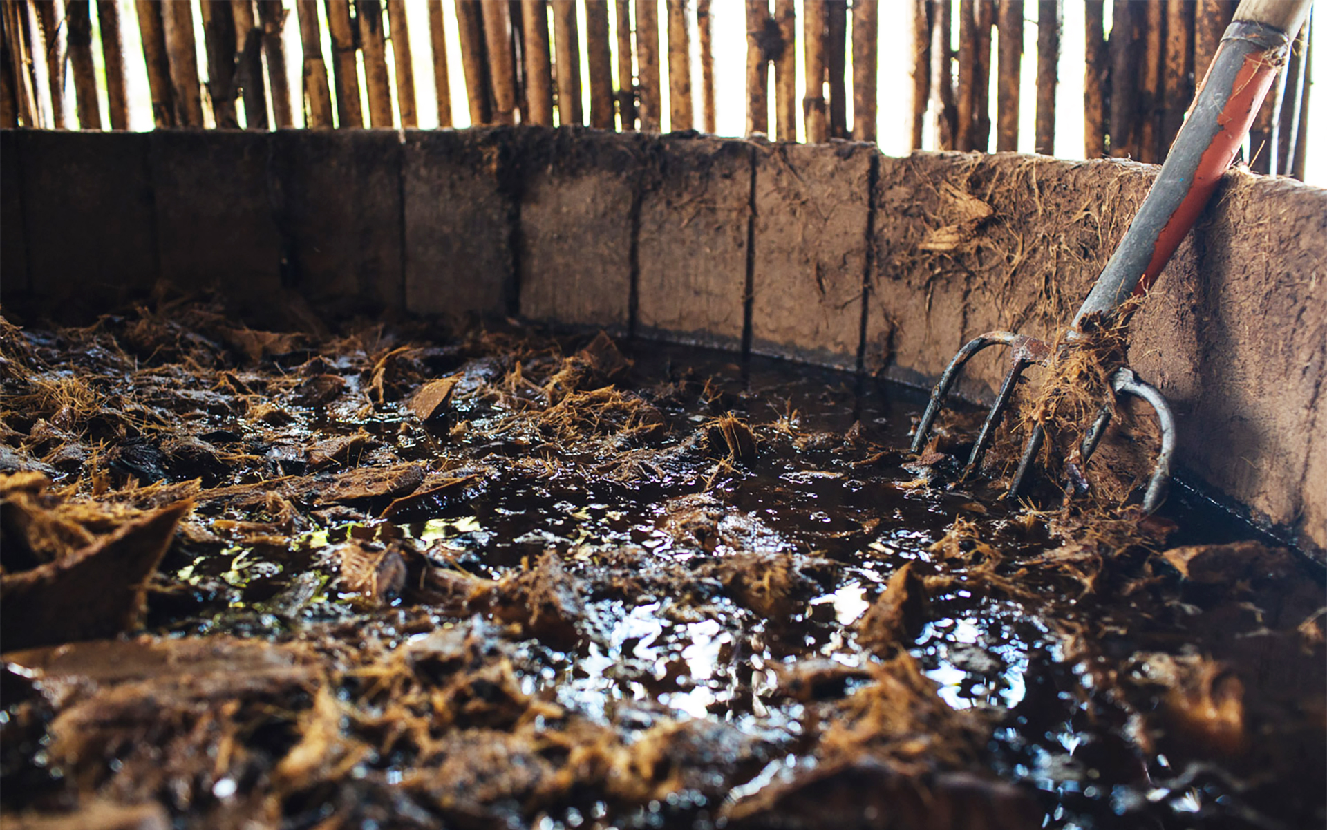 Mezcal Basics - Experience Agave