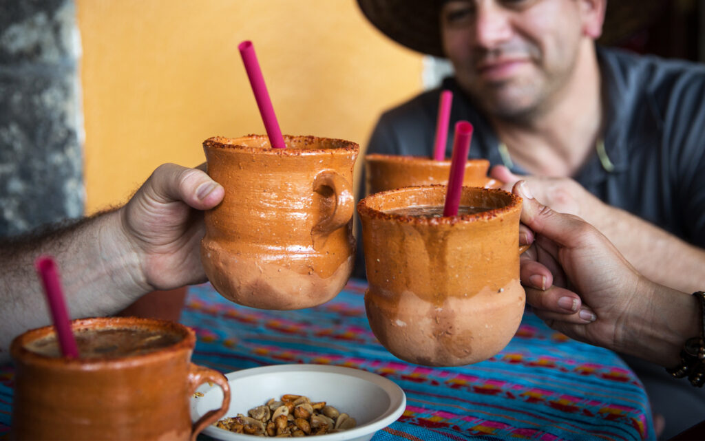 Valley of Tequila Day Tour - Experience Agave