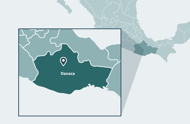 Oaxaca Mezcal Day Tour - Experience Agave